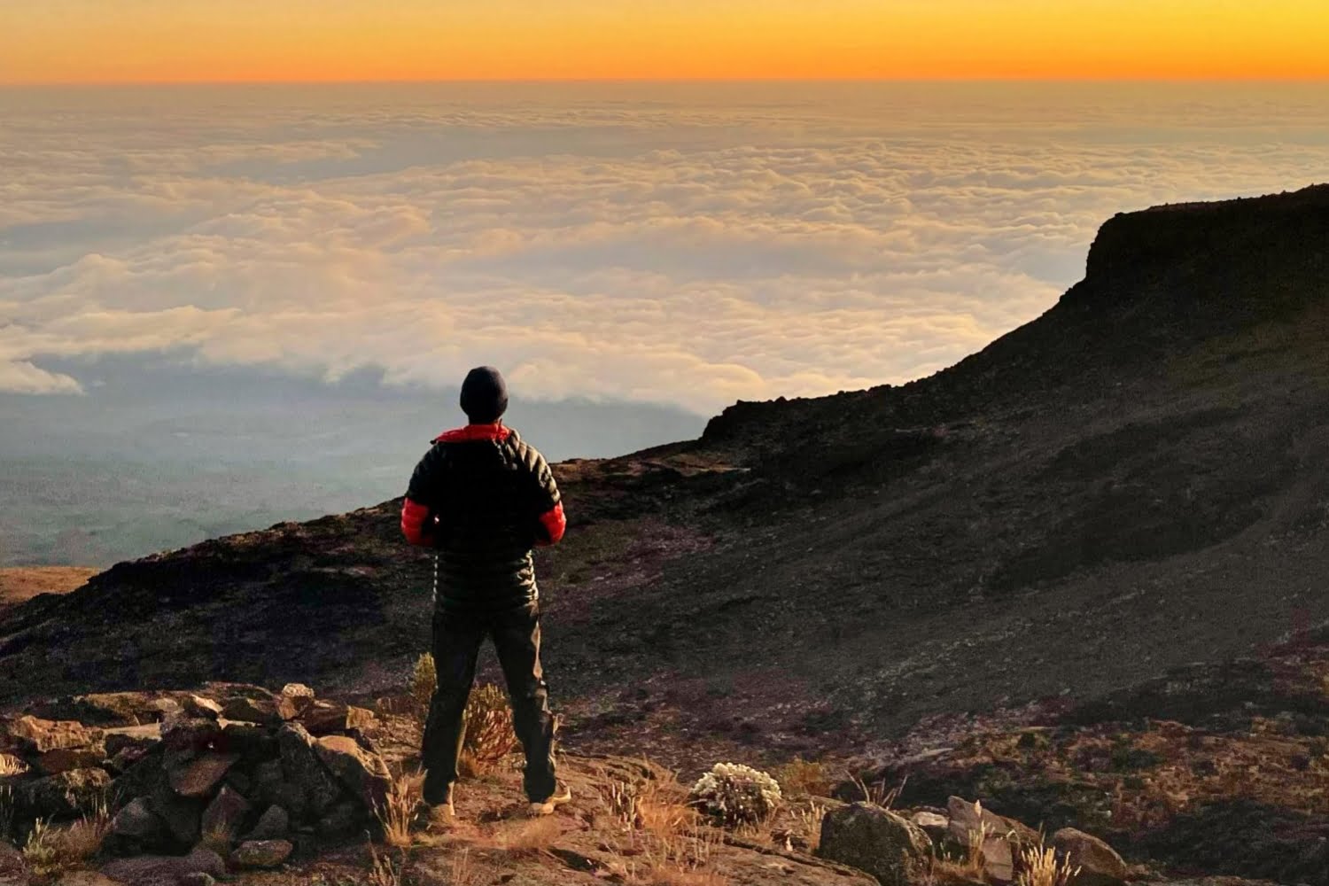 Climb Mt Kilimanjaro & Experience a Classic African Safari - Mountains ...
